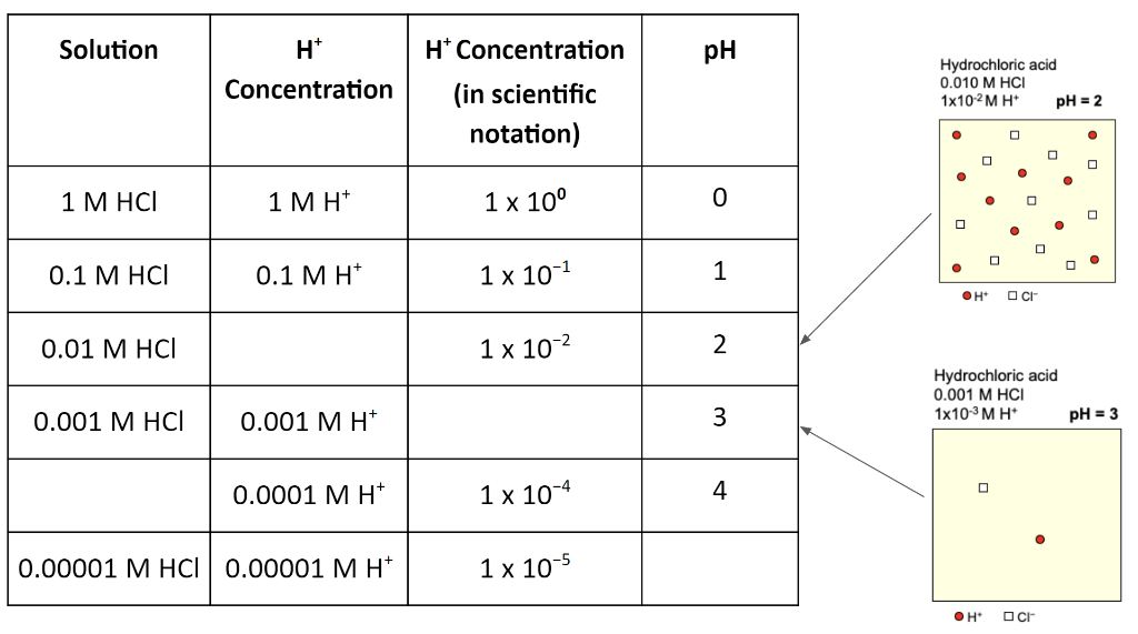 Solved You can test the acidity of a substance by | Chegg.com