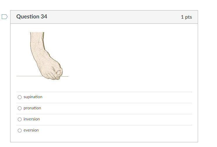 Solved Complete the following Lab Activity on Movement | Chegg.com