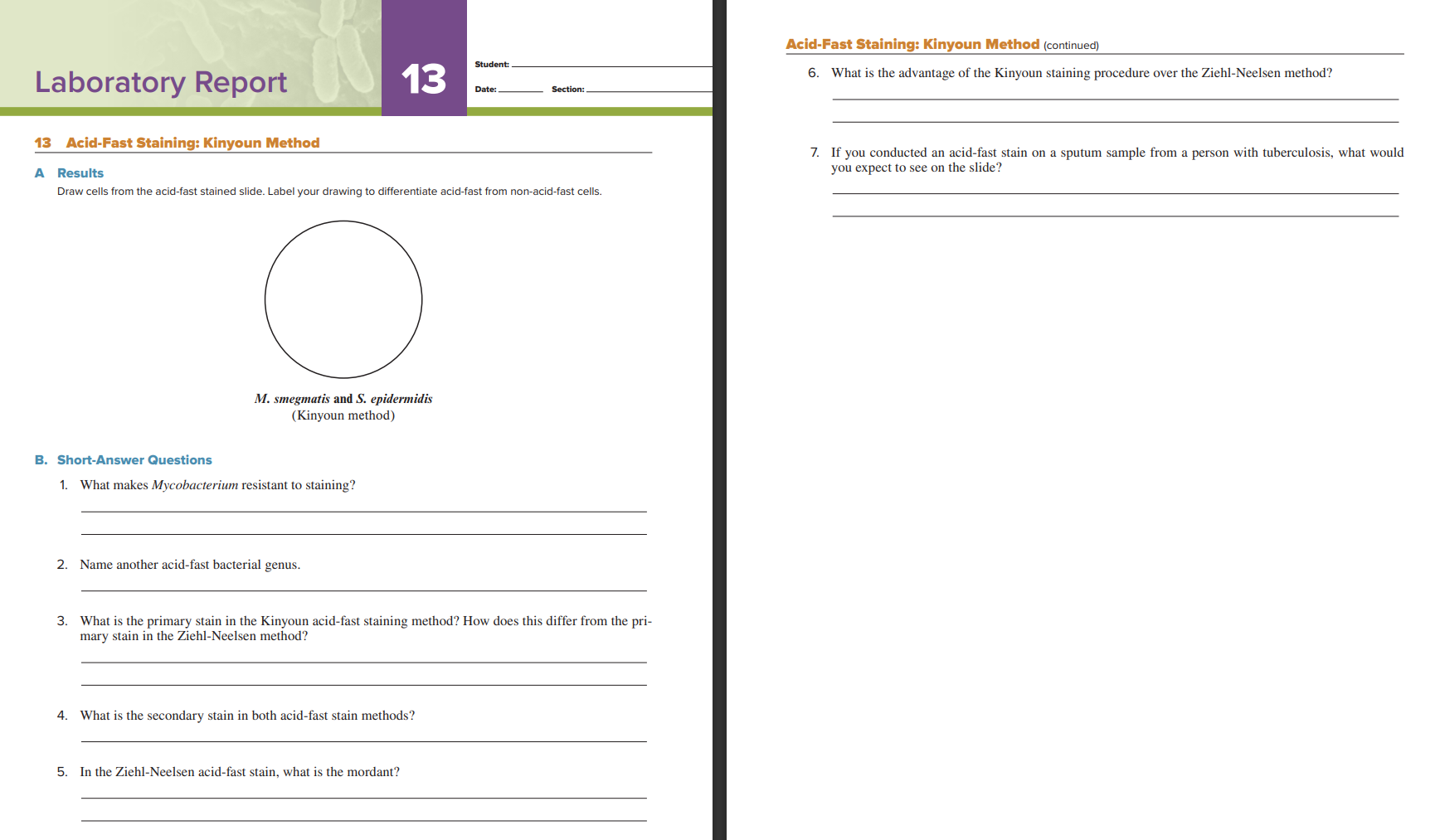 Laboratory Report 12 Student Endospore Staining | Chegg.com