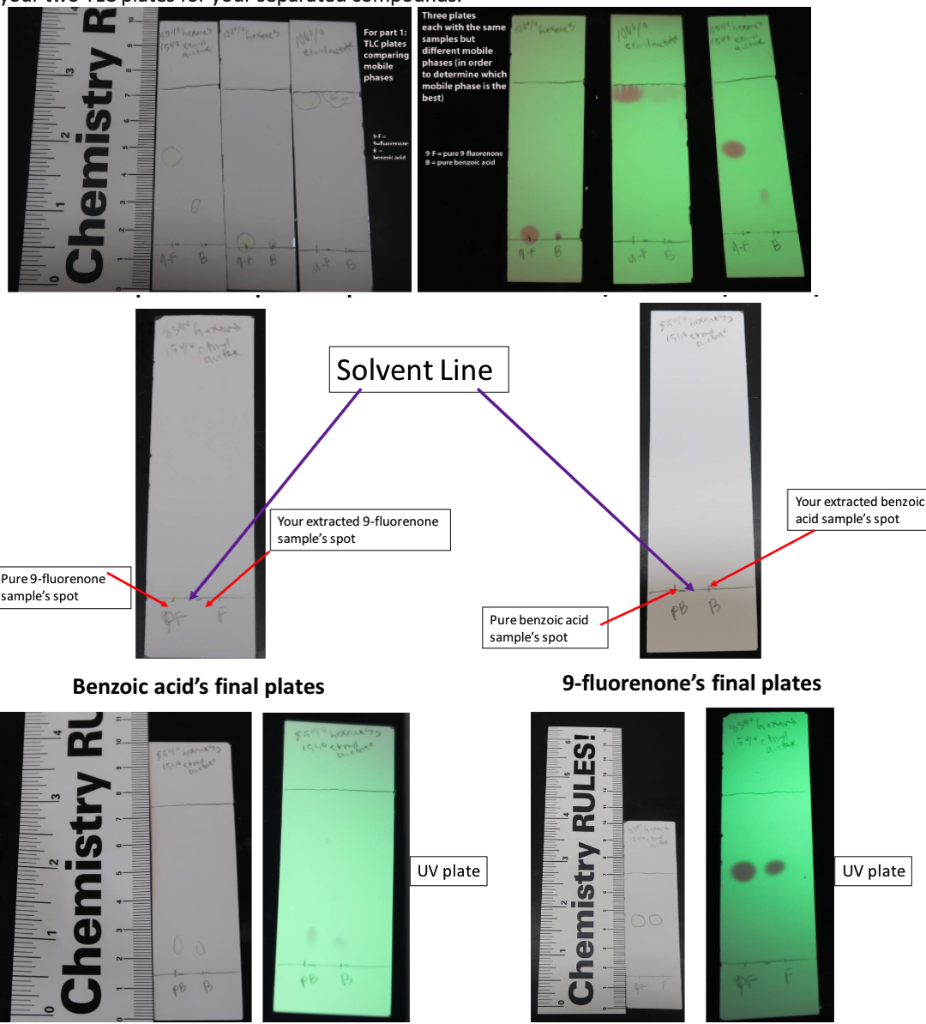 b. (4 pts) Calculate the Rf value for each spot | Chegg.com
