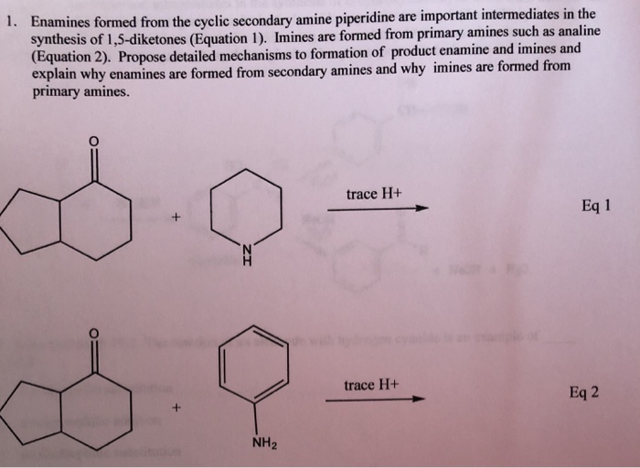 Solved Enamines formed from the cyclic secondary amine | Chegg.com