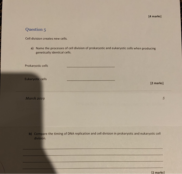 Solved (4 marks Question5 Cell division creates new cells. | Chegg.com