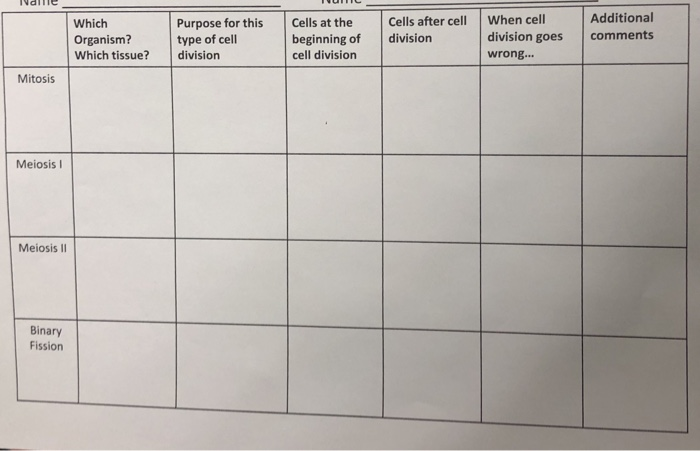 Solved Purpose for this Cells at the Cells after cell When | Chegg.com