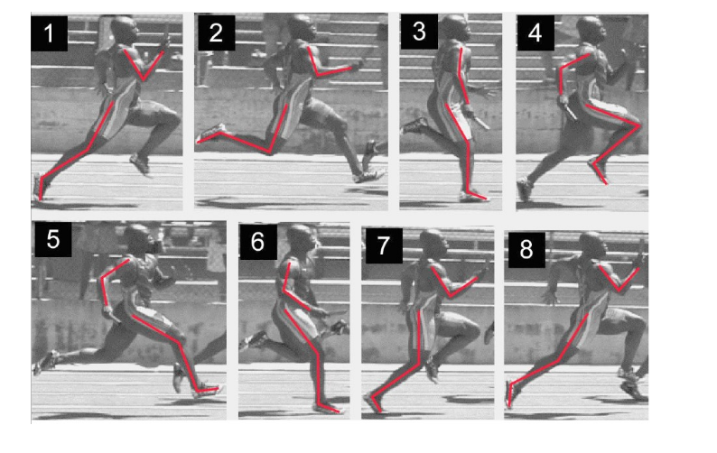 Solved Analyze the sprinter shown in the sequence of photos | Chegg.com