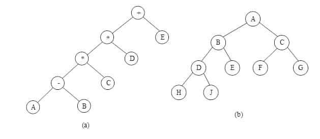 Solved You have two trees as shown below, which will be | Chegg.com