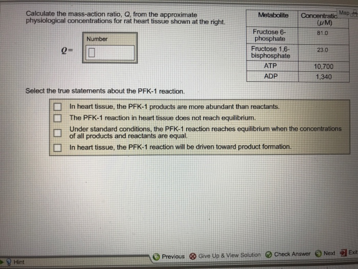Solved Many metabolites are maintained at steady state | Chegg.com