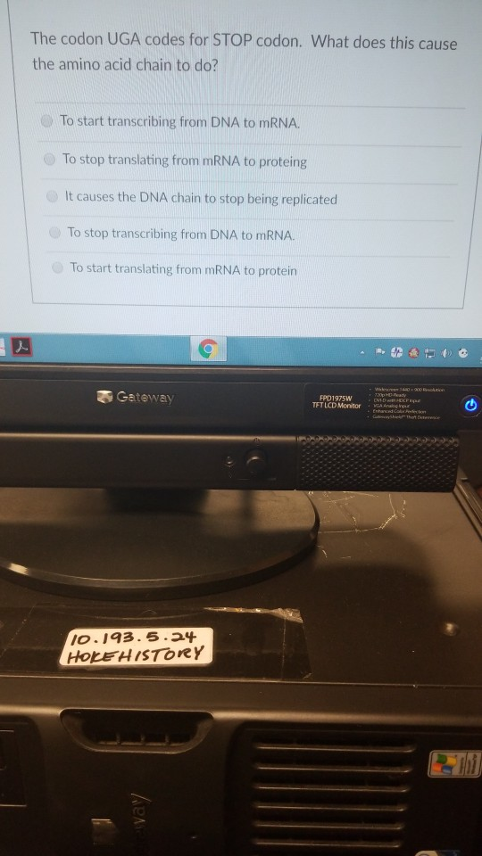 Solved The codon UGA codes for STOP codon. What does this | Chegg.com