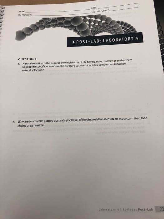 Solved DATE SECTION/GROUP: INSTRUCTOR: POST-LAB: LABORATORY4 | Chegg.com