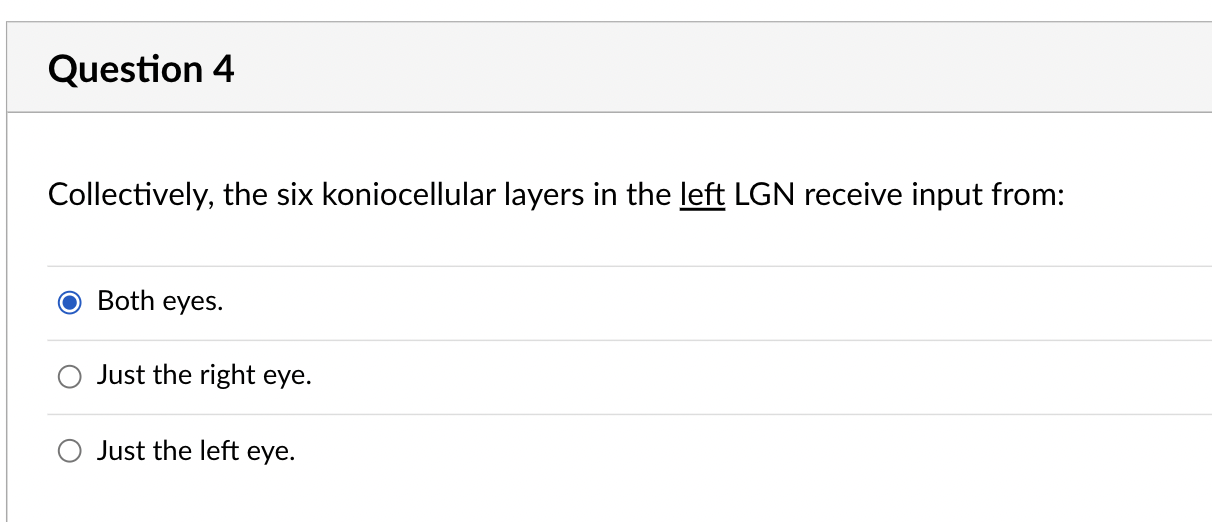 Solved Collectively, the six koniocellular layers in the | Chegg.com