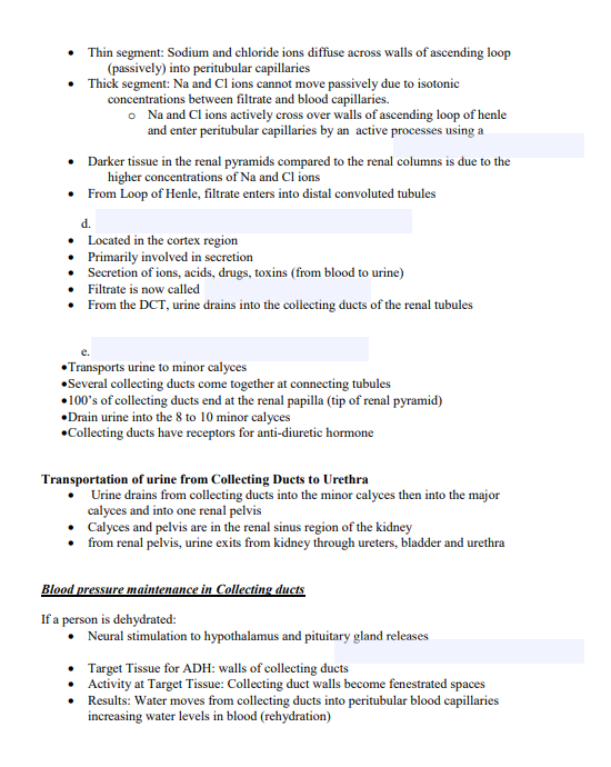 Lecture Outline 23: Nephrons - Main functional unit | Chegg.com