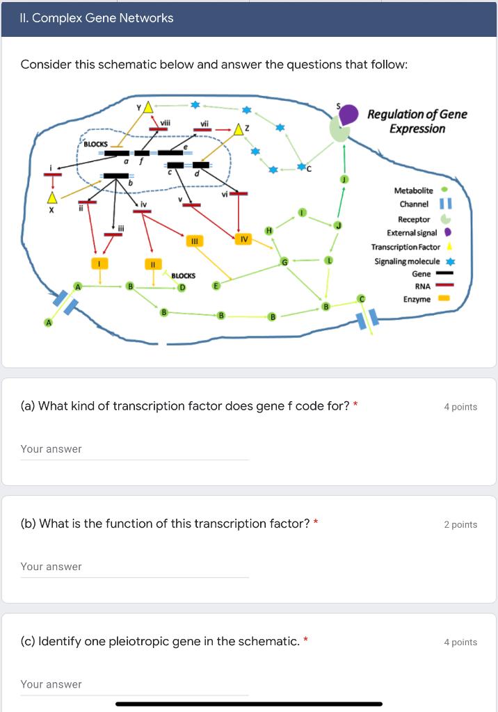 Solved II. Complex Gene Networks Consider this schematic | Chegg.com