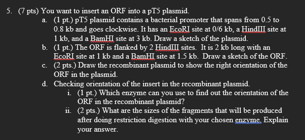 5. (7 pts) You want to insert an ORF into a pT5 | Chegg.com