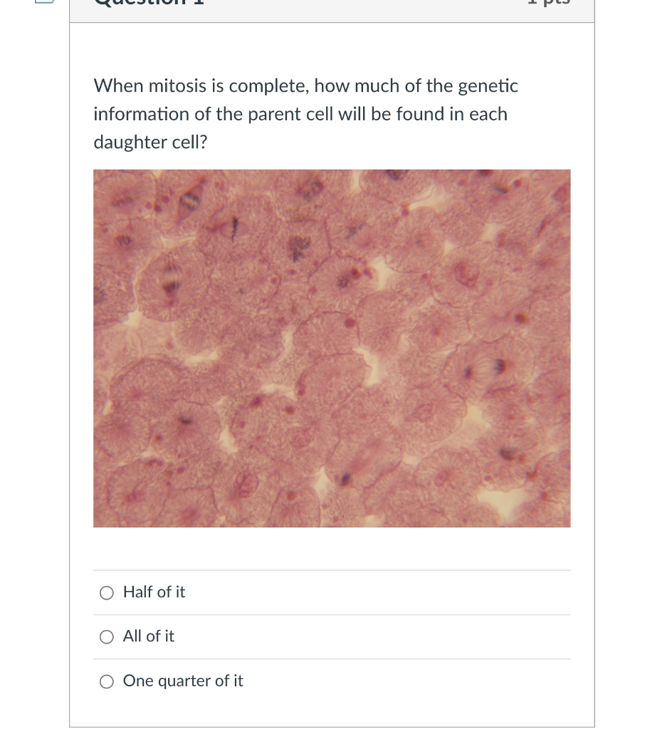 Solved In this simulation of meiosis using model | Chegg.com