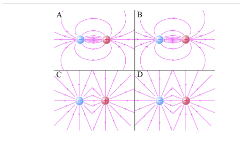 Solved In (Figure 3), what is wrong with panel D? (Pick | Chegg.com