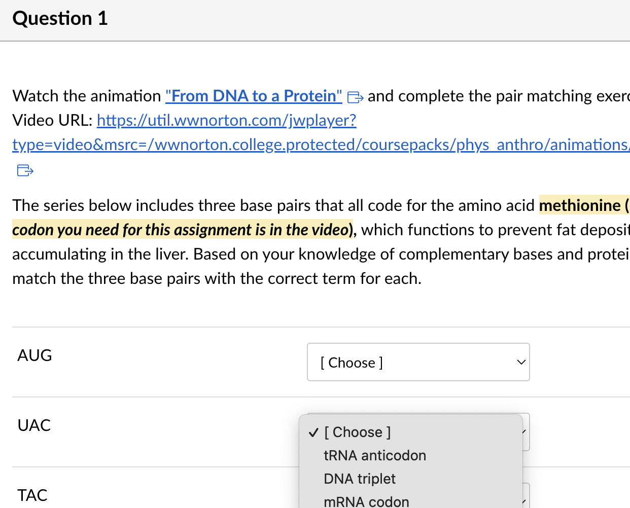 Watch the animation "From DNA to a Protein" , and | Chegg.com