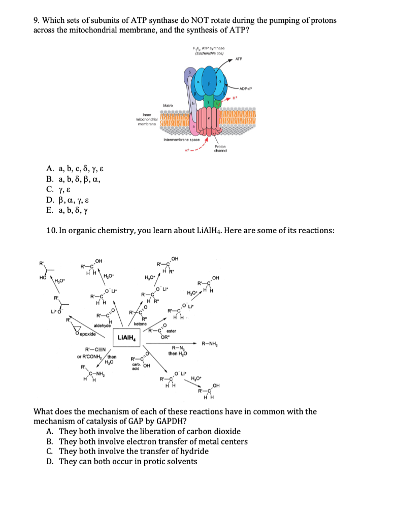 Solved 9. Which sets of subunits of ATP synthase do NOT | Chegg.com