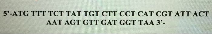 Solved 5'-ATG TTT TCT TAT TGT CTT CCT CAT CGT ATT ACT AAT | Chegg.com