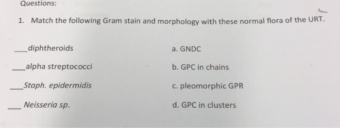 Solved Questions: 1. Match the following Gram stain and | Chegg.com