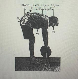 Solved The figure shows a person using both hands to lift a | Chegg.com