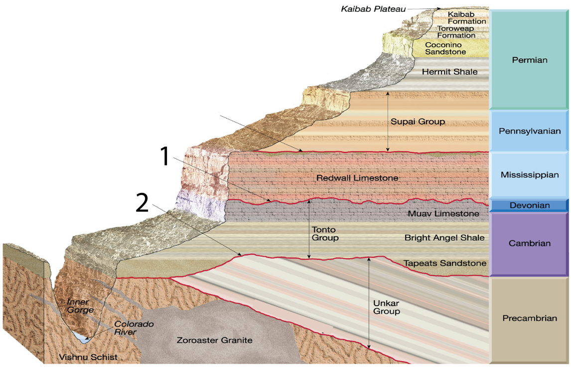 Solved In the absolute geologic time scale, the Devonian | Chegg.com