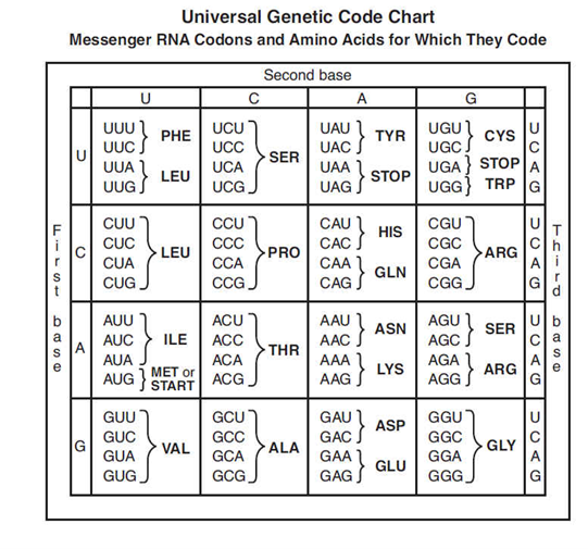 Solved Over 2000 different mutations in the CFTR gene are | Chegg.com