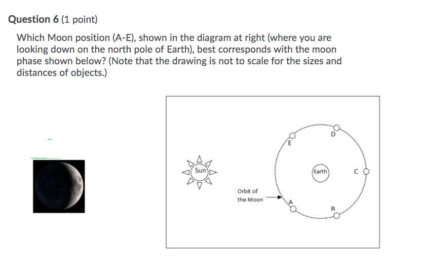 Solved Question 6 (1 point) Which Moon position (A-E), shown | Chegg.com