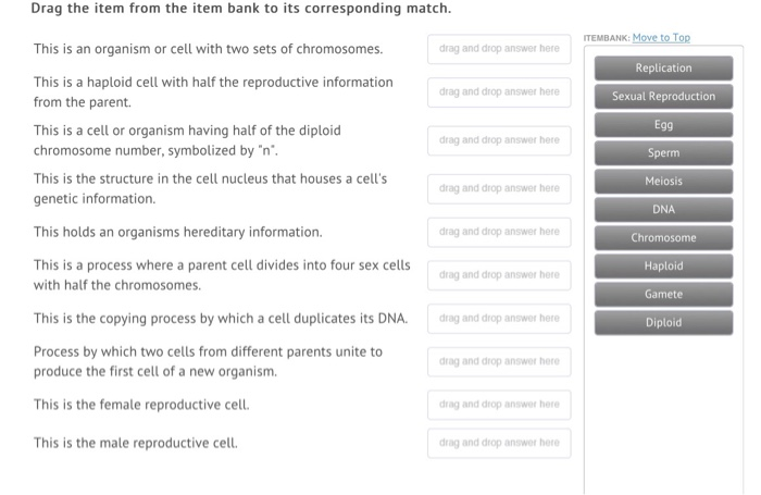 Solved Drag the item from the item bank to its corresponding | Chegg.com