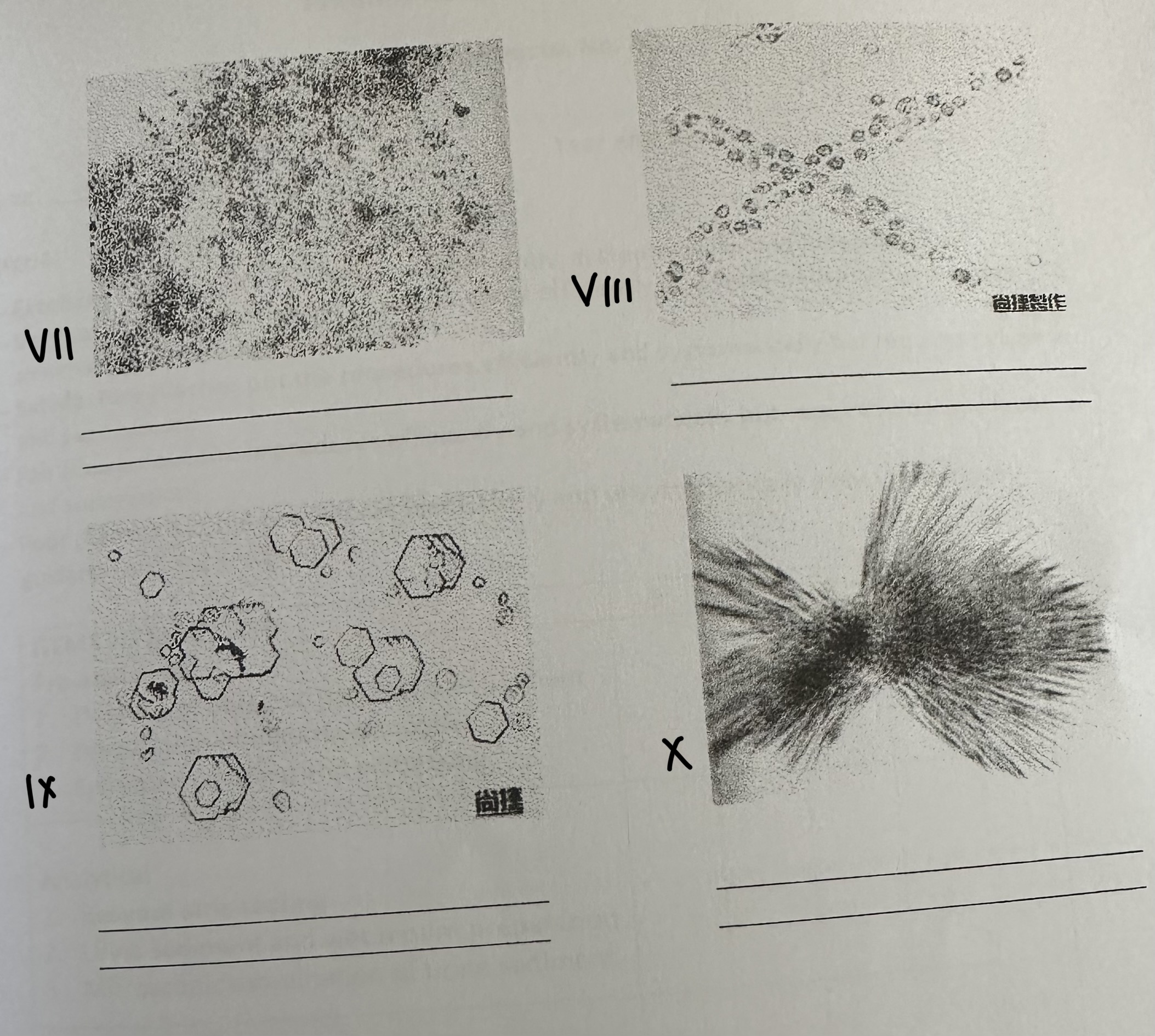 Solved give at-least three methods of scanning of a blood | Chegg.com