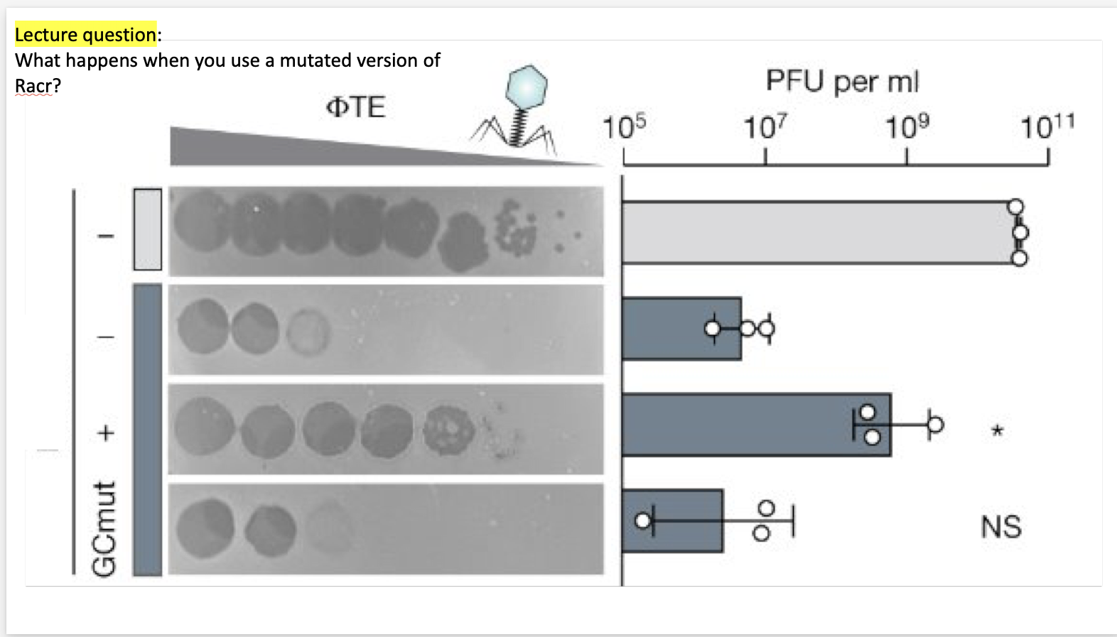Solved Lecture question:What happens when you use a mutated | Chegg.com