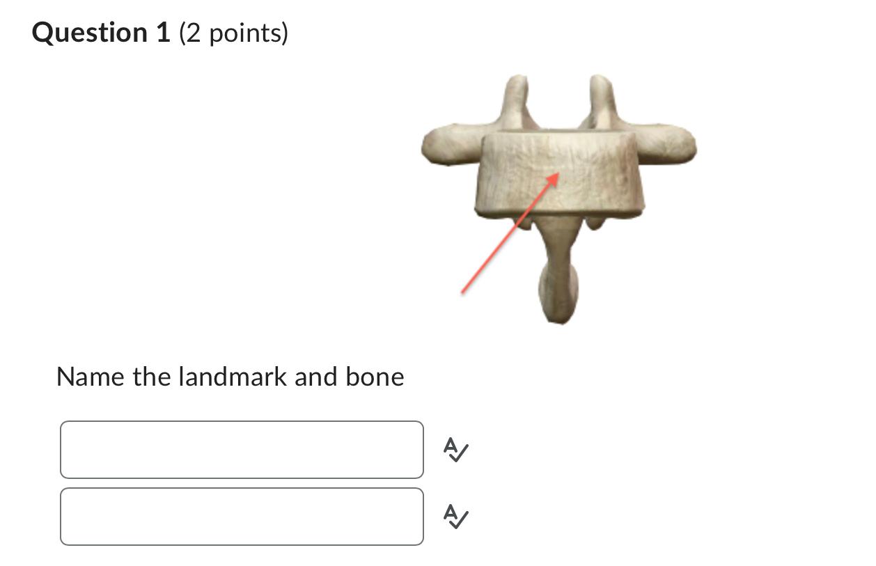 Solved Question 1 (2 points) Name the landmark and bone A A | Chegg.com