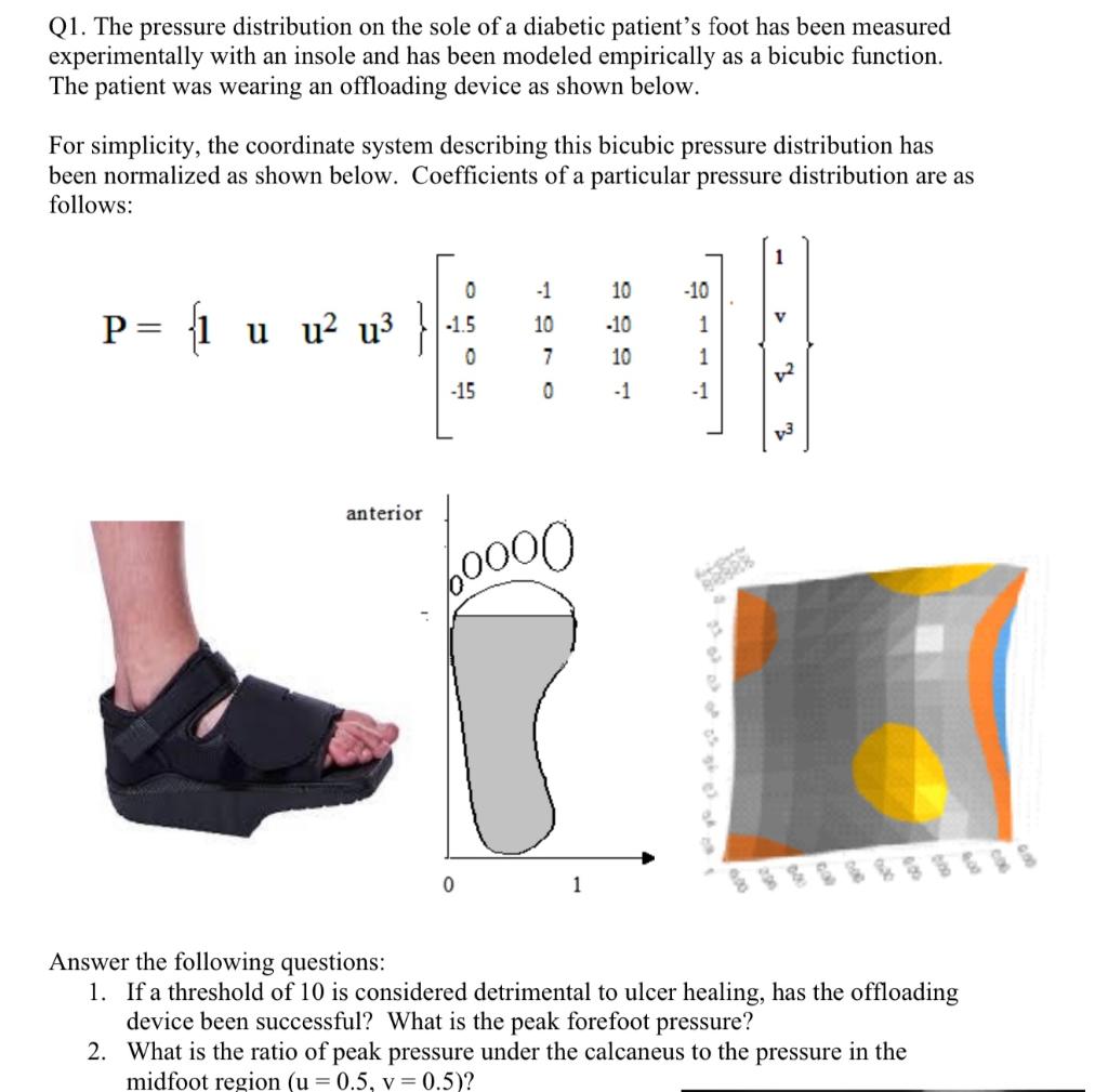 Q1. The pressure distribution on the sole of a | Chegg.com