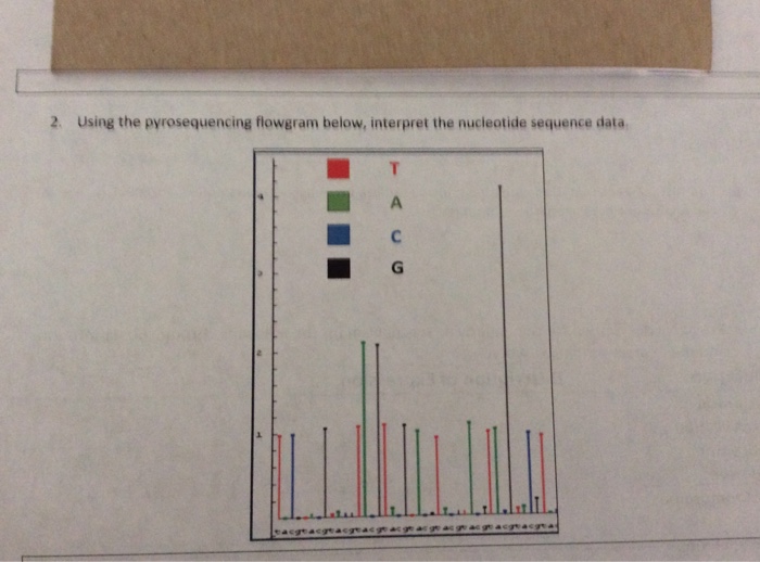 Solved 2. Using the pyrosequencing flowgram below, interpret | Chegg.com