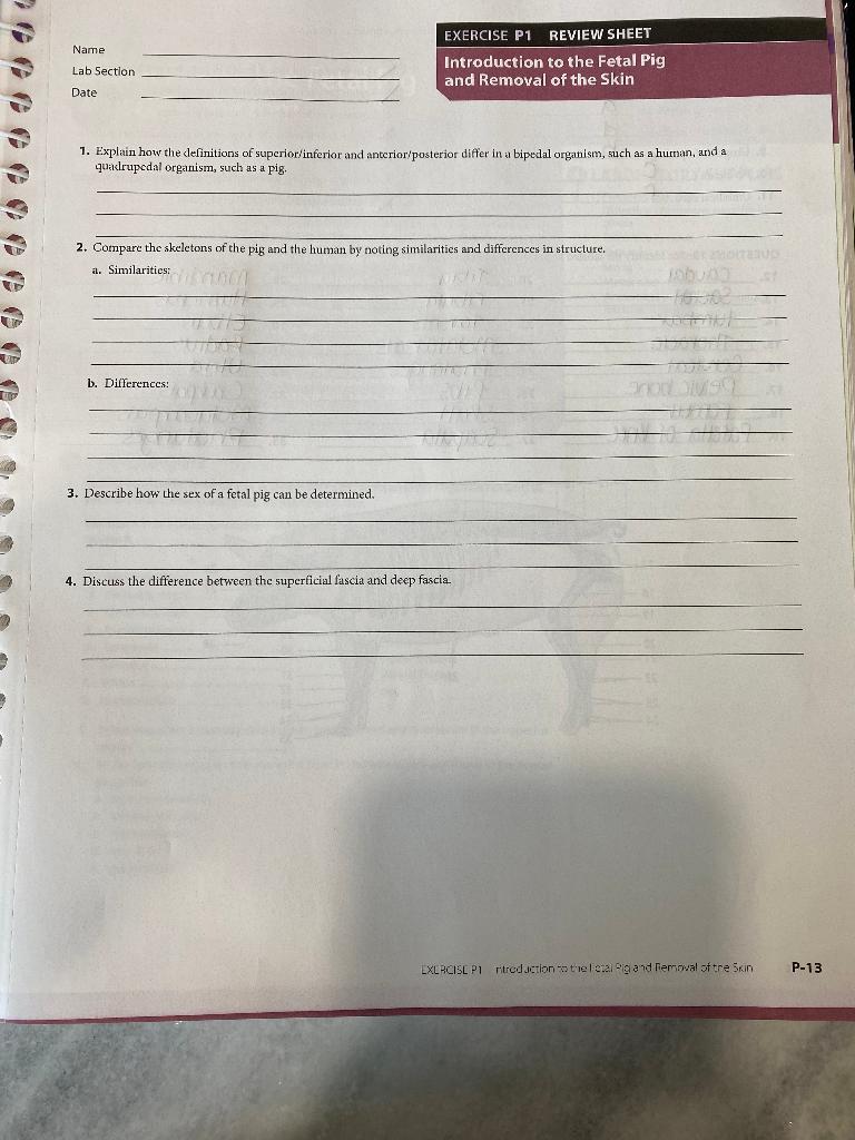 Solved Name Lab Section Date 1. Explain how the definitions | Chegg.com