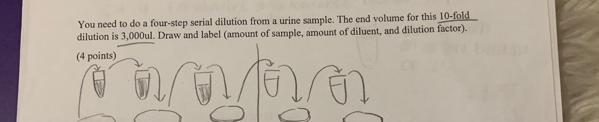 Solved You need to do a four-step serial dilution from a | Chegg.com