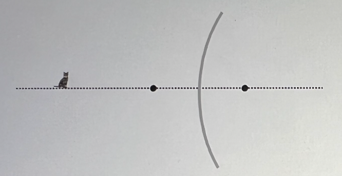 Solved A cat sits a distance L away from the center of a | Chegg.com