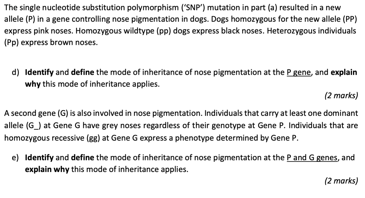 Solved The single nucleotide substitution polymorphism | Chegg.com