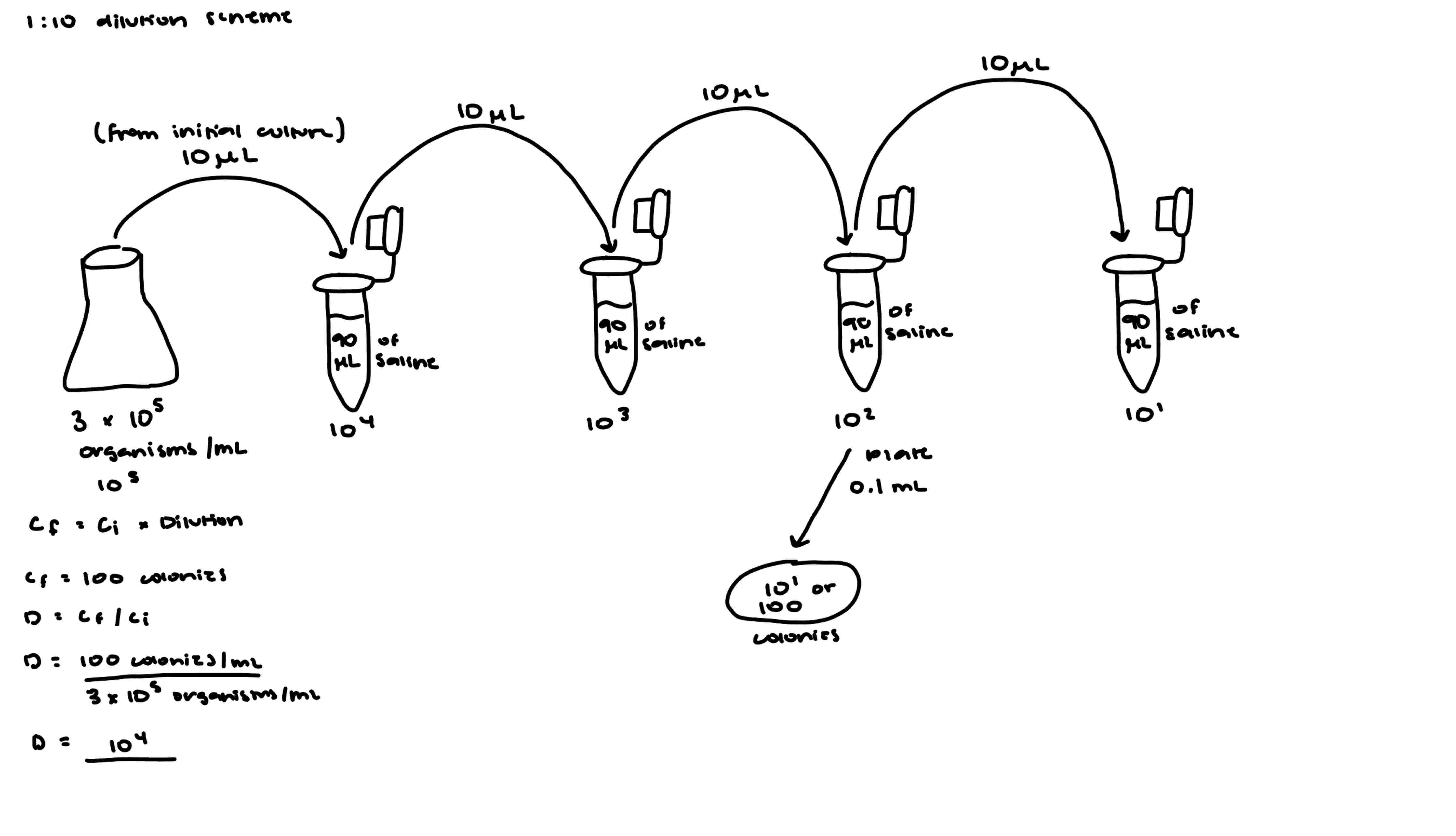 Solved does using epppendorf tube change how i do a dilution | Chegg.com