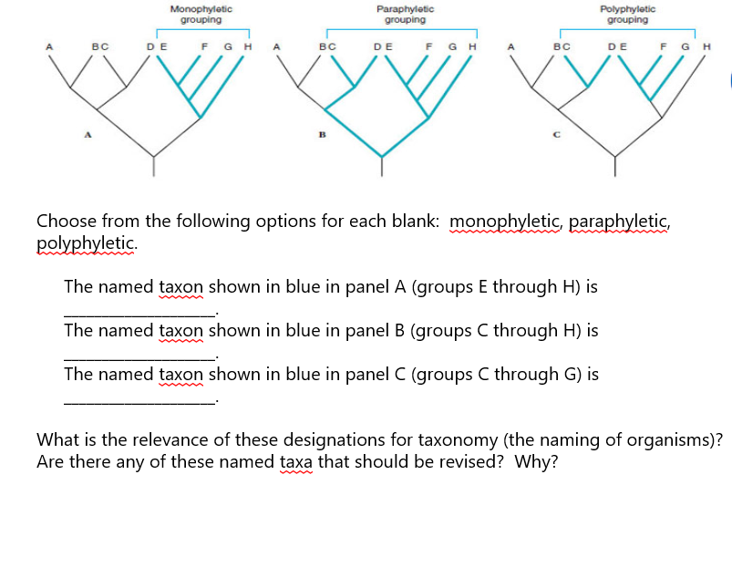 Solved Monophyletic grouping Paraphyletic grouping | Chegg.com
