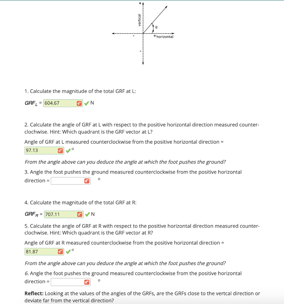 Solved 1. A force-time graph for the analysis of the walking | Chegg.com
