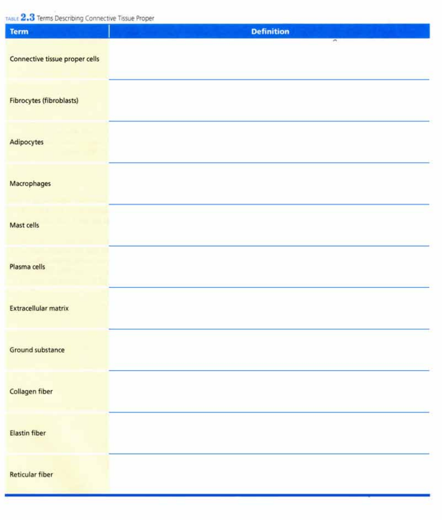 Solved 4 Fill in the blanks using your model and/or cadaver | Chegg.com