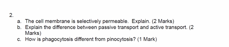 Solved a. ﻿The cell membrane is selectively permeable. | Chegg.com
