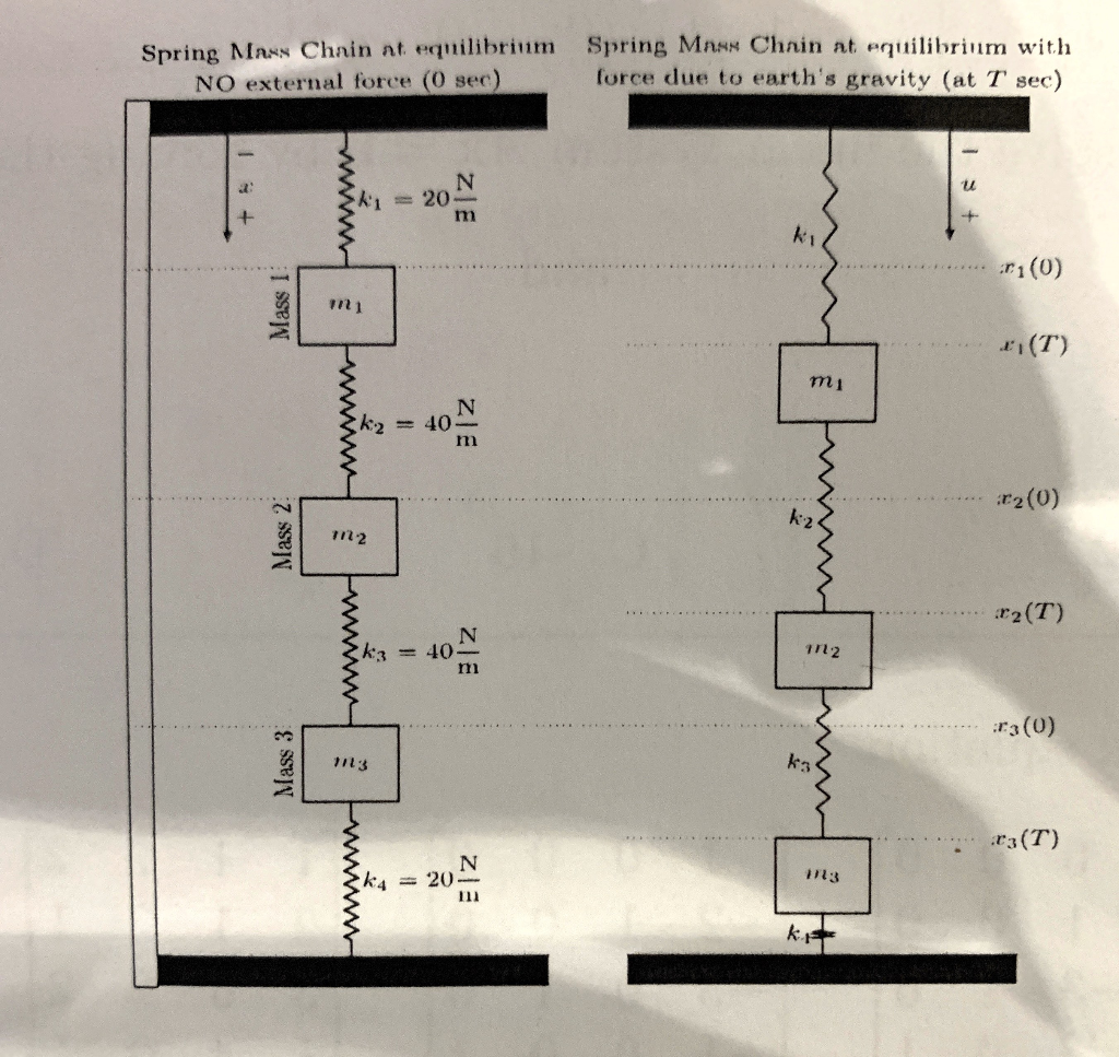 Spring Mass Chain at equilibrium NO external force (0 | Chegg.com