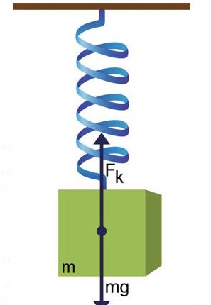 Solved Derive the equation of motion for the mass attached | Chegg.com
