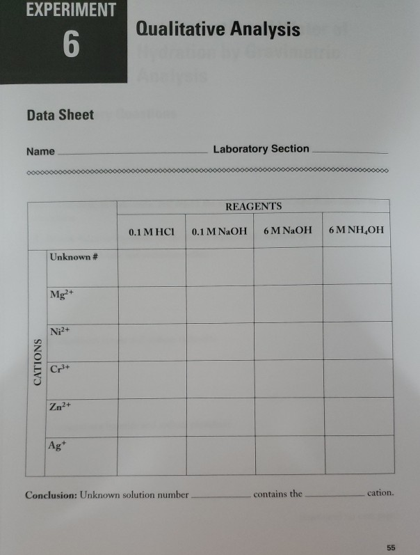 EXPERIMENT Qualitative Analysis Data Sheet Name | Chegg.com