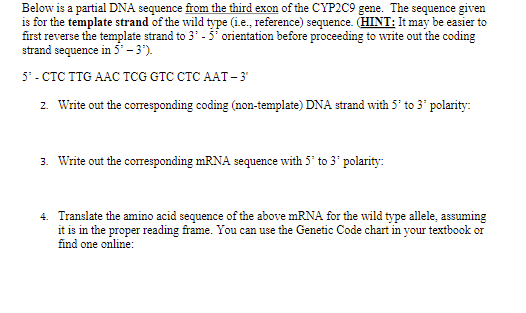 Solved Below is a partial DNA sequence from the third exon | Chegg.com