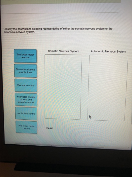 Solved Classify the descriptions as being representative of | Chegg.com