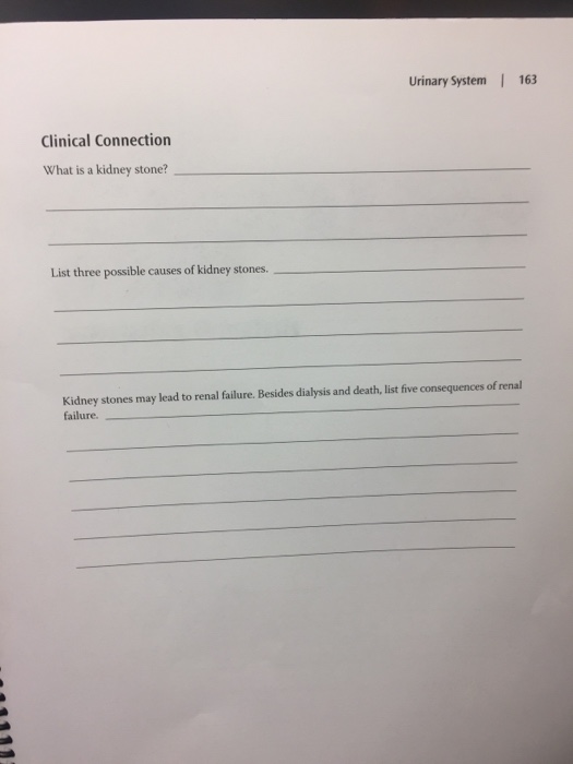 Solved Part C Match the term on the left with its correct | Chegg.com