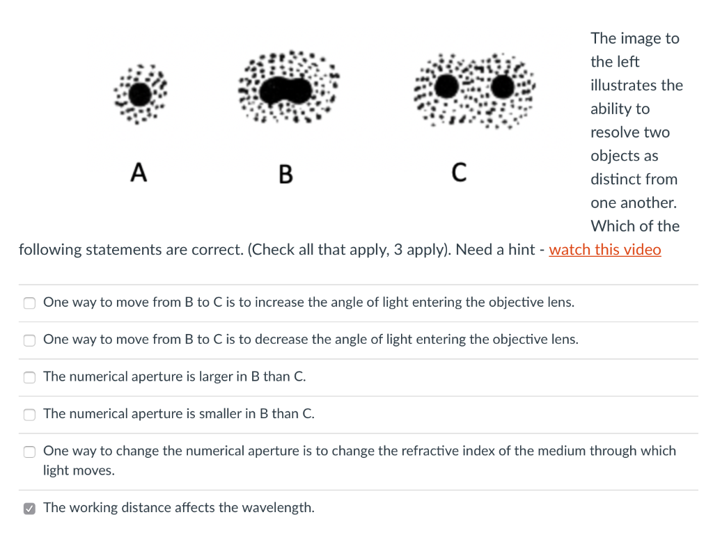 Solved following statements are correct. (Check all that | Chegg.com