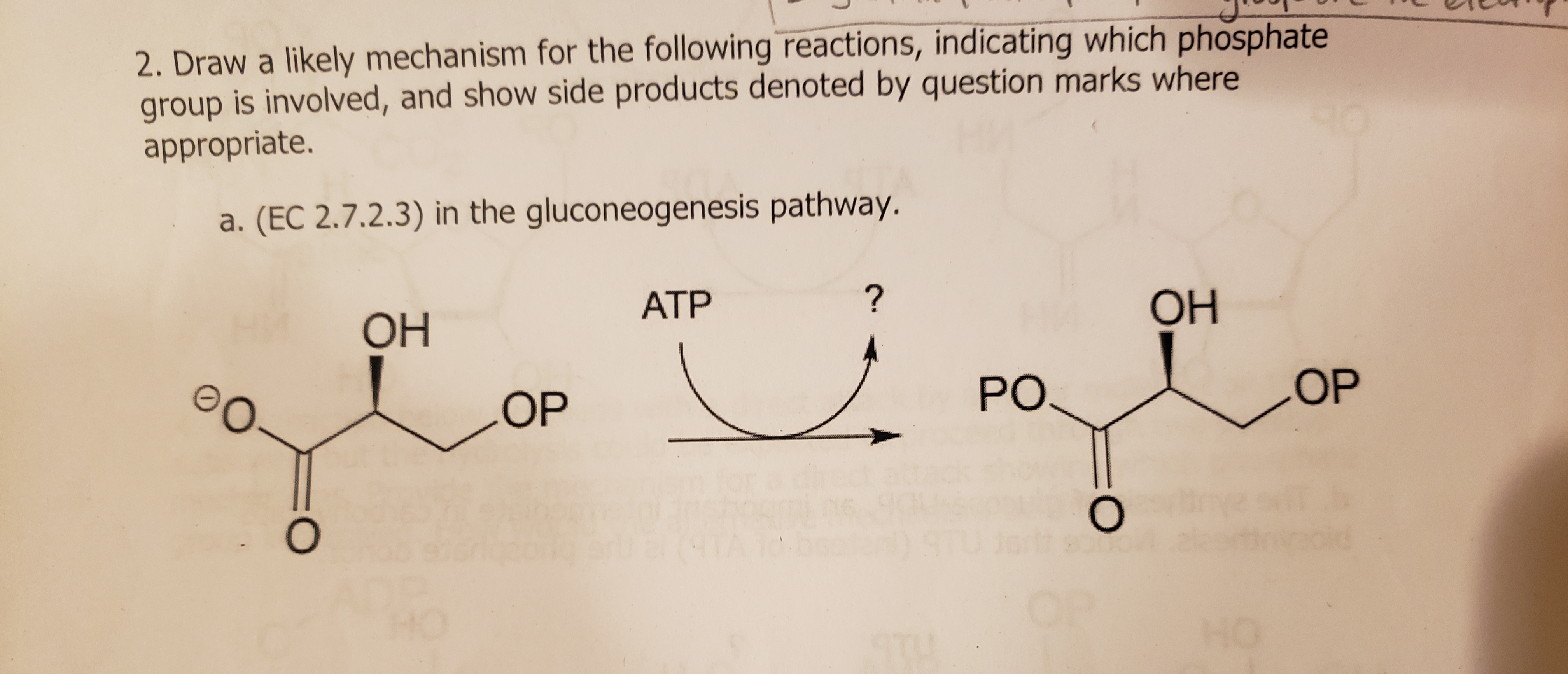 Solved 2. ﻿Draw a likely mechanism for the following | Chegg.com