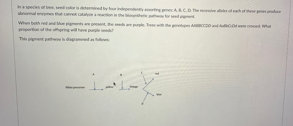 Solved In a species of tree, seed color is determined by | Chegg.com